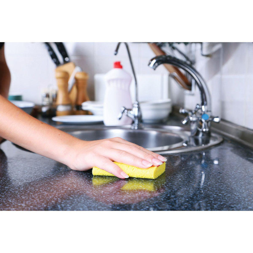 Pop Up Sponges - 4 pack – The Seasoned Gourmet